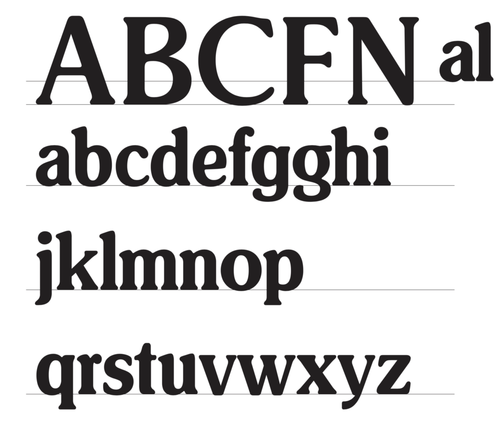 Carnation – Typespec